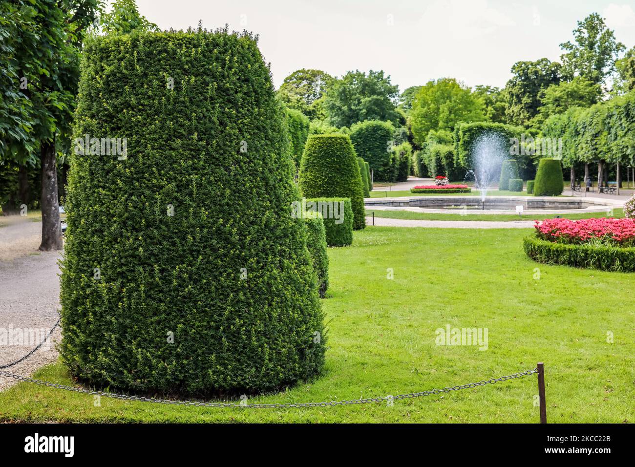 Green cut bushes and fountain in beautiful park Stock Photo - Alamy