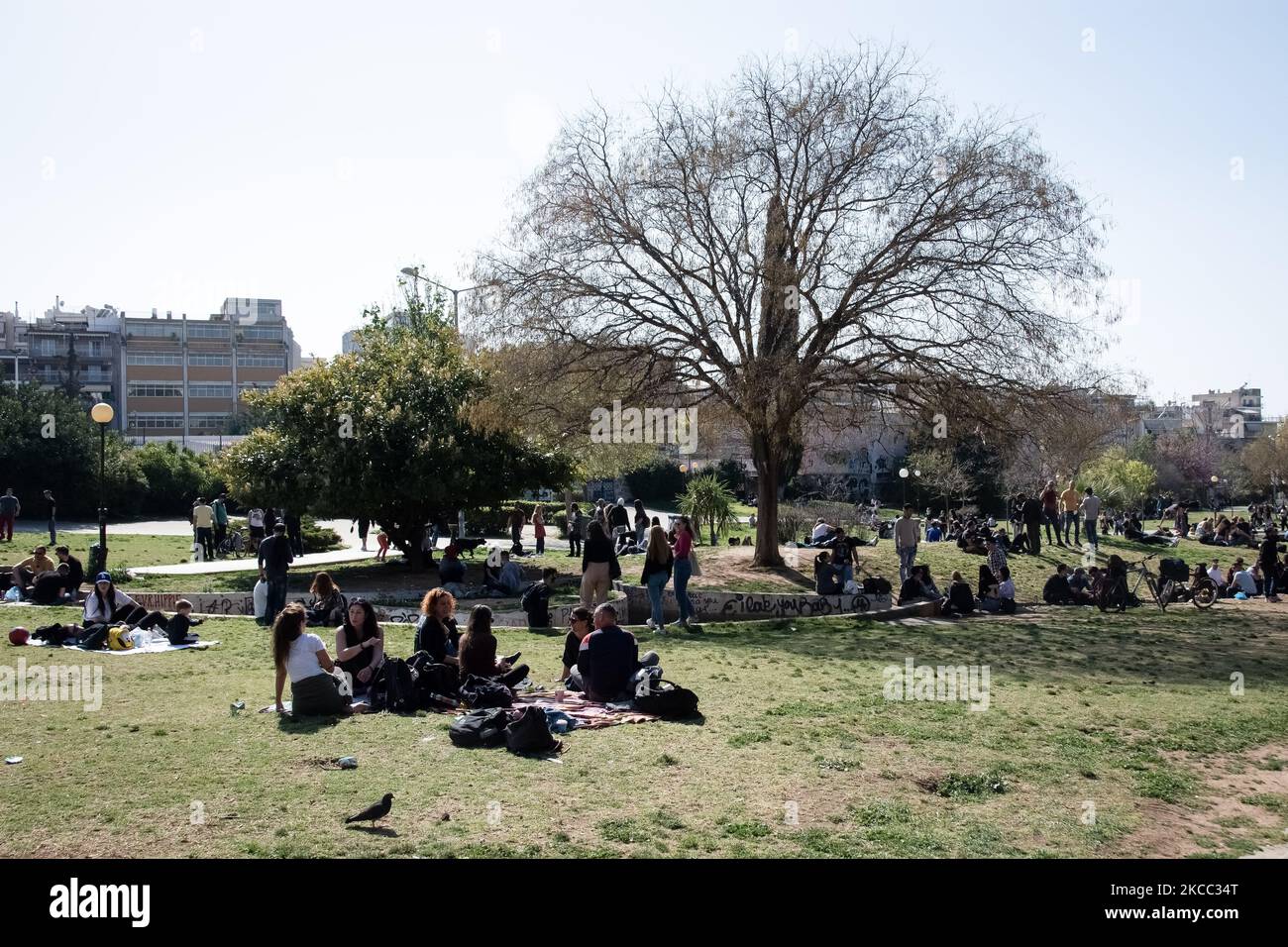 People are relaxing in a park at the area of Kaisariani, after the new ...