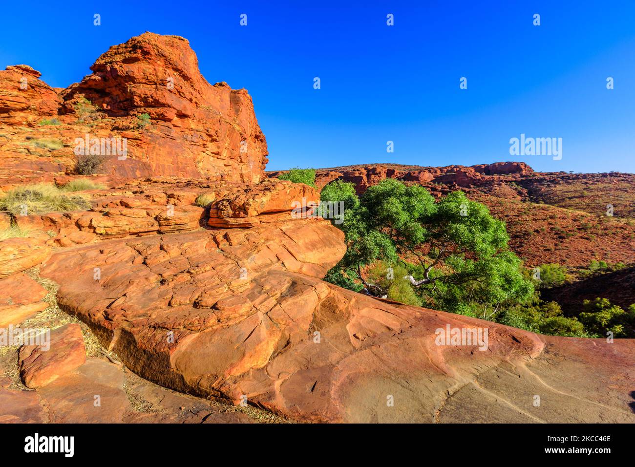 Vertical cliffs in Kings Canyon, Australia Outback Red Center, Northern ...