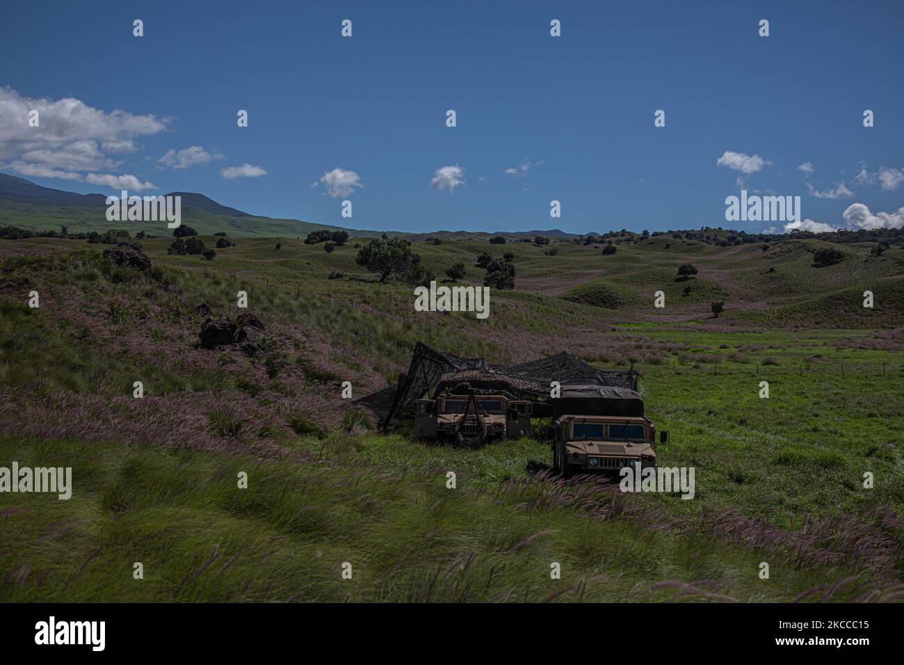 U.S. Army Soldiers from 2nd Battalion, 11th Field Artillery Regiment ...