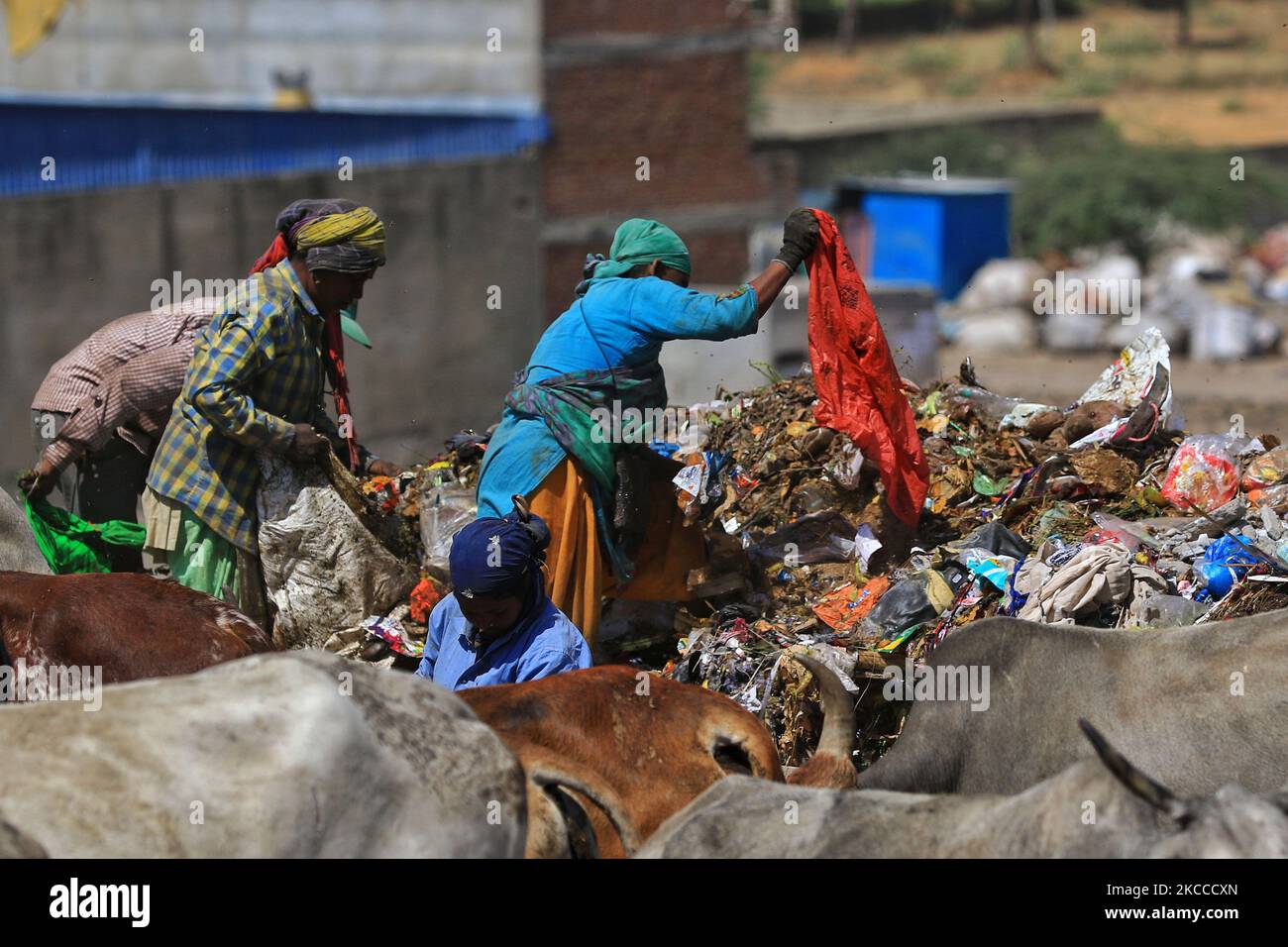 Ragpickers hi-res stock photography and images - Alamy