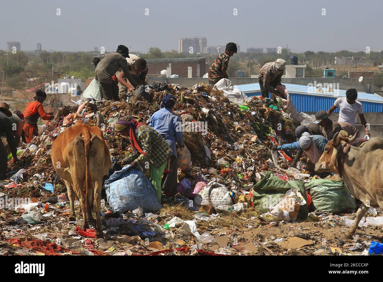 Ragpickers hi-res stock photography and images - Alamy