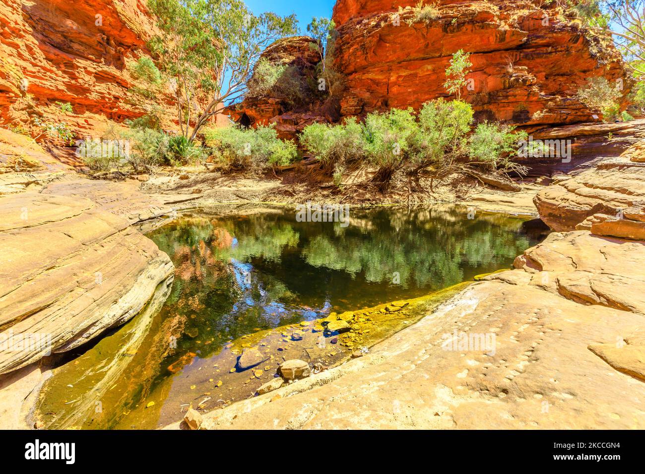 Scenic landscape of waterhole in Garden of Eden, Kings Canyon in Watarrka National Park. Natural ...