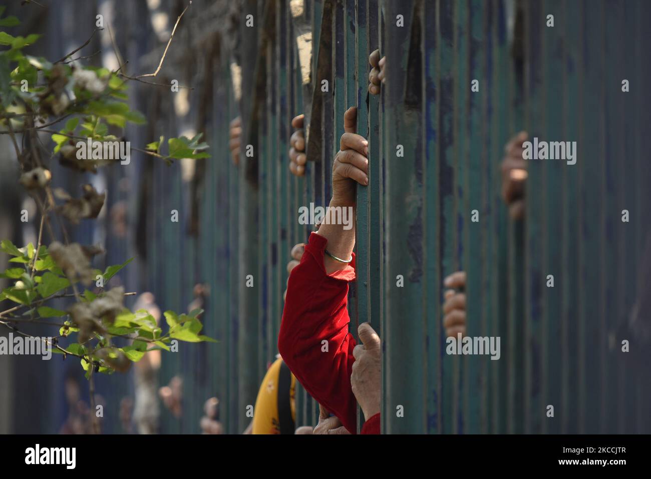 Nepalese people observing Ghode Jatra or the 'Festival of Horse ...