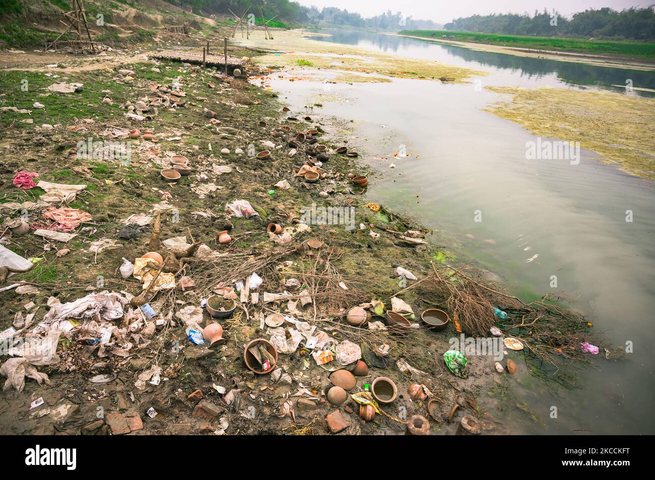 A buffalo is being bathed in one of the most polluted rivers Jalangi ...