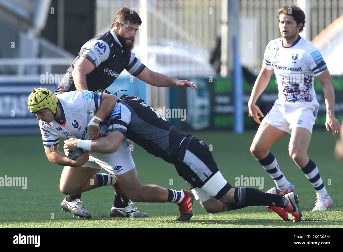Capon of bristol bears hi-res stock photography and images - Alamy
