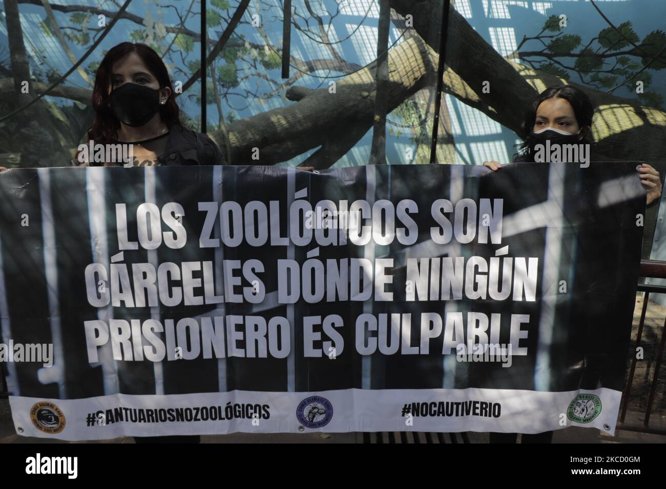 Activists from the international organization Animal Save Mexico, hold ...