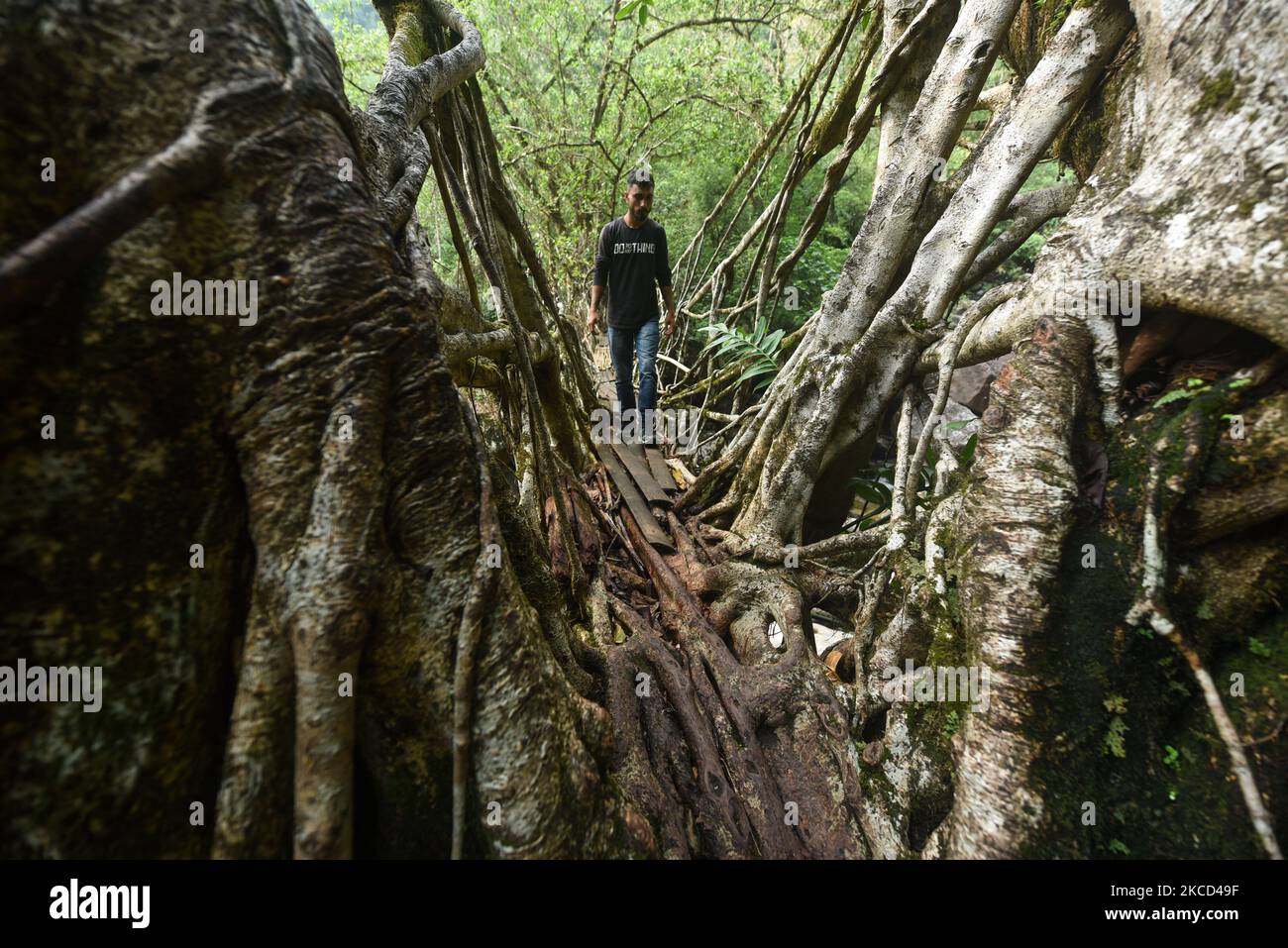 Tourists at the Bouble decker living root bridge amid COVID-19 ...