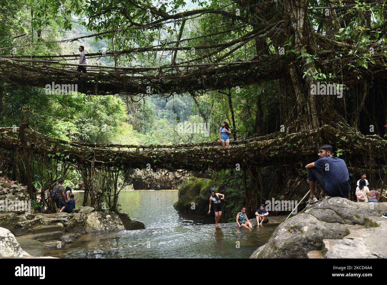Tourists at the Bouble decker living root bridge amid COVID-19 ...