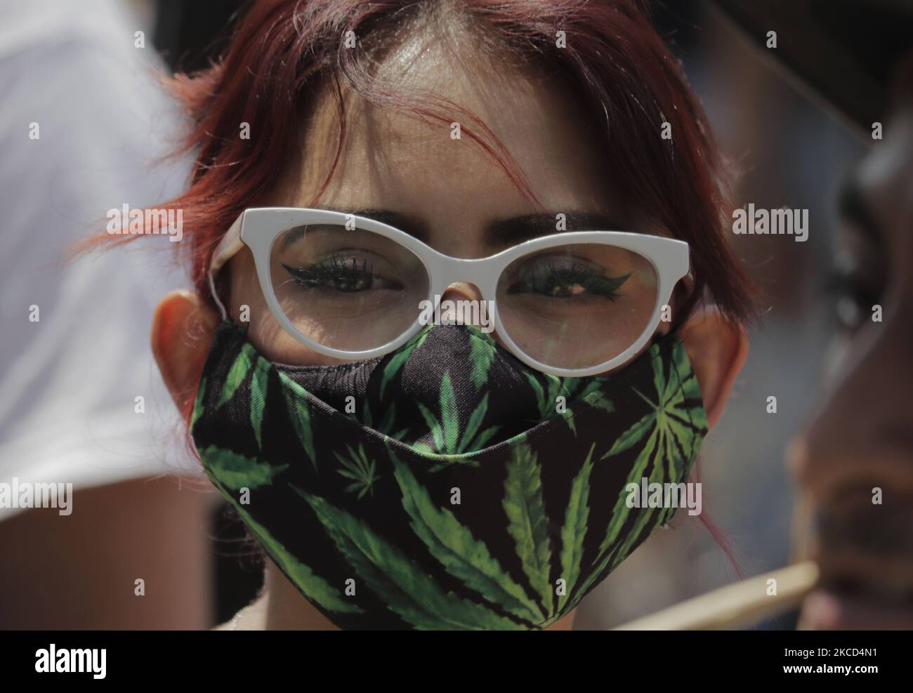 Marijuana plants mexico hi-res stock photography and images - Alamy