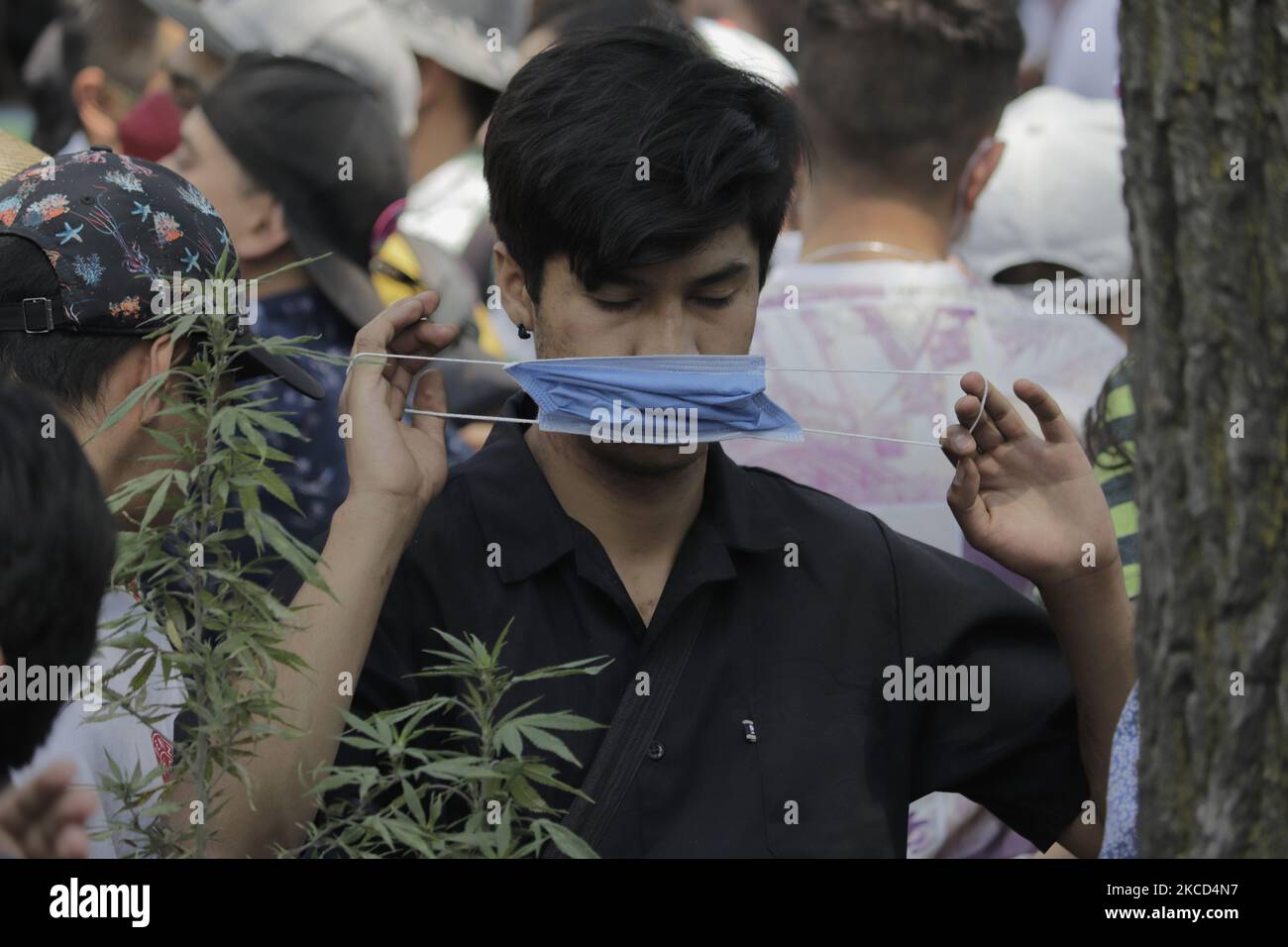 Sself cultivation hi-res stock photography and images - Alamy