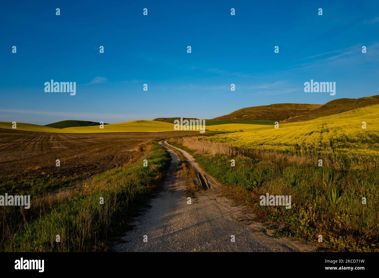 Landscape at sunset near Poggiorsini on the Murgia in Puglia, on 21 ...