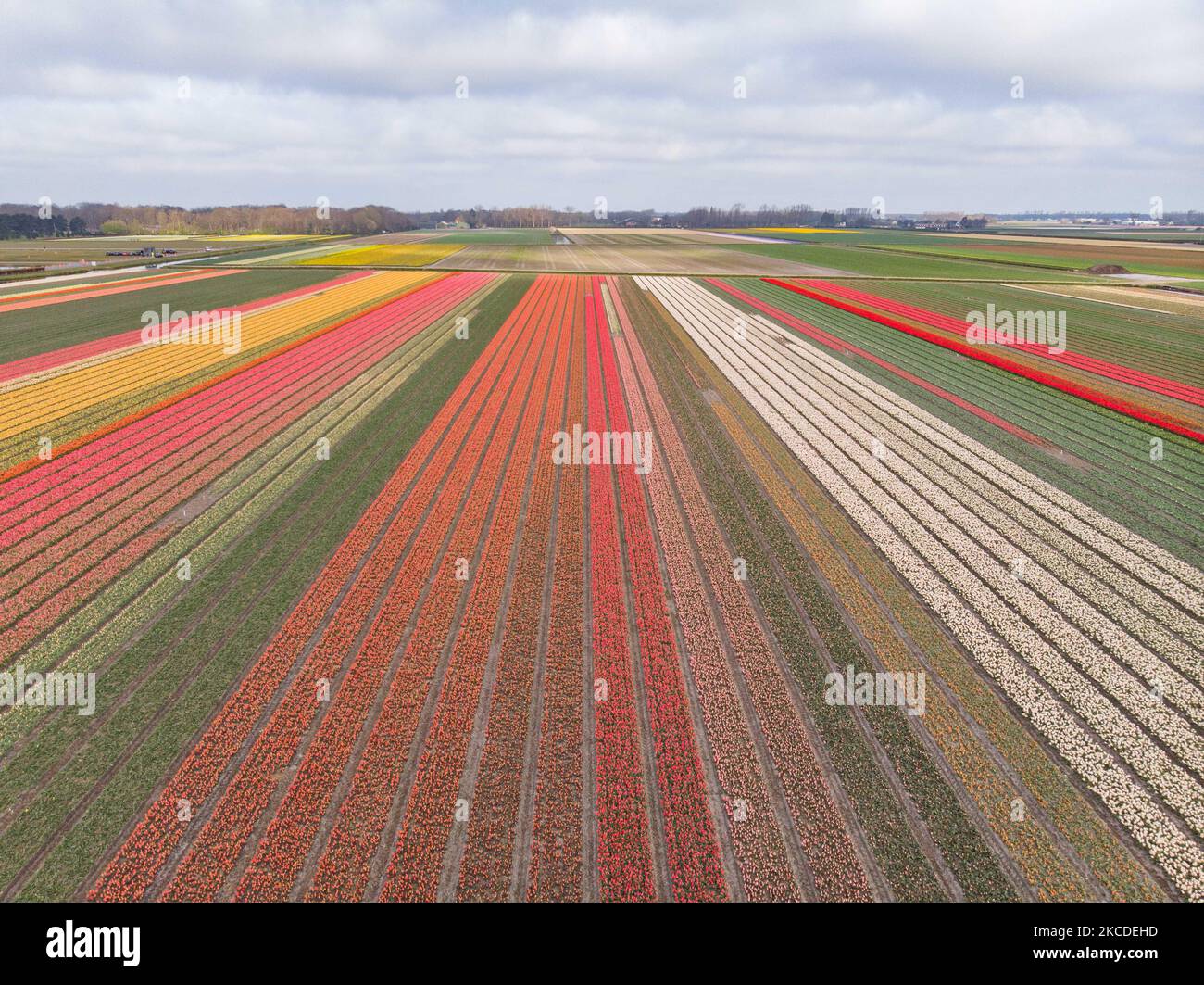 Keukenhof gardens aerial hi-res stock photography and images - Alamy