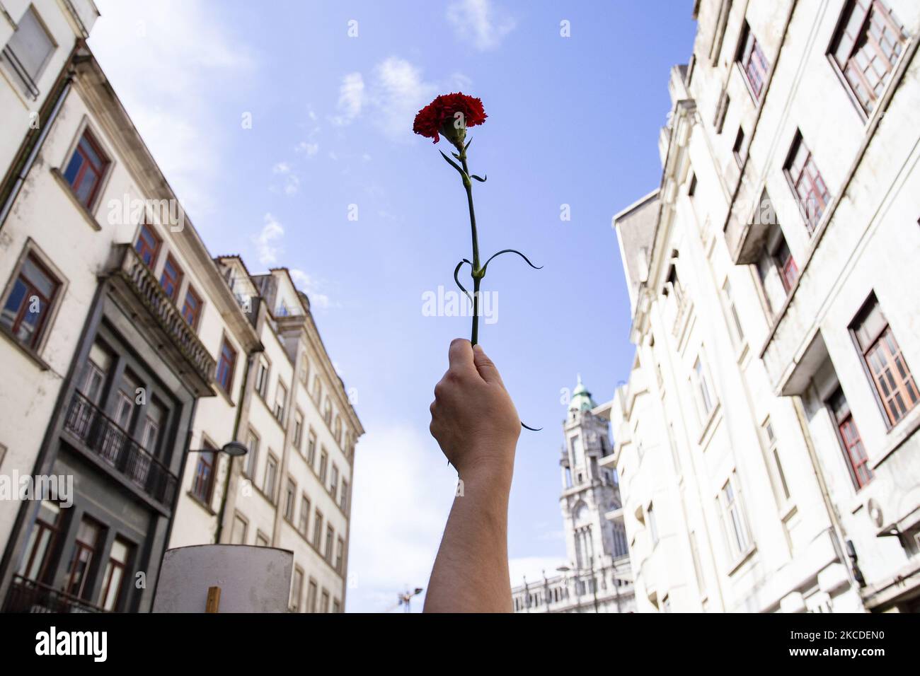 Anniversary of portugals red carnations revolution hi-res stock ...