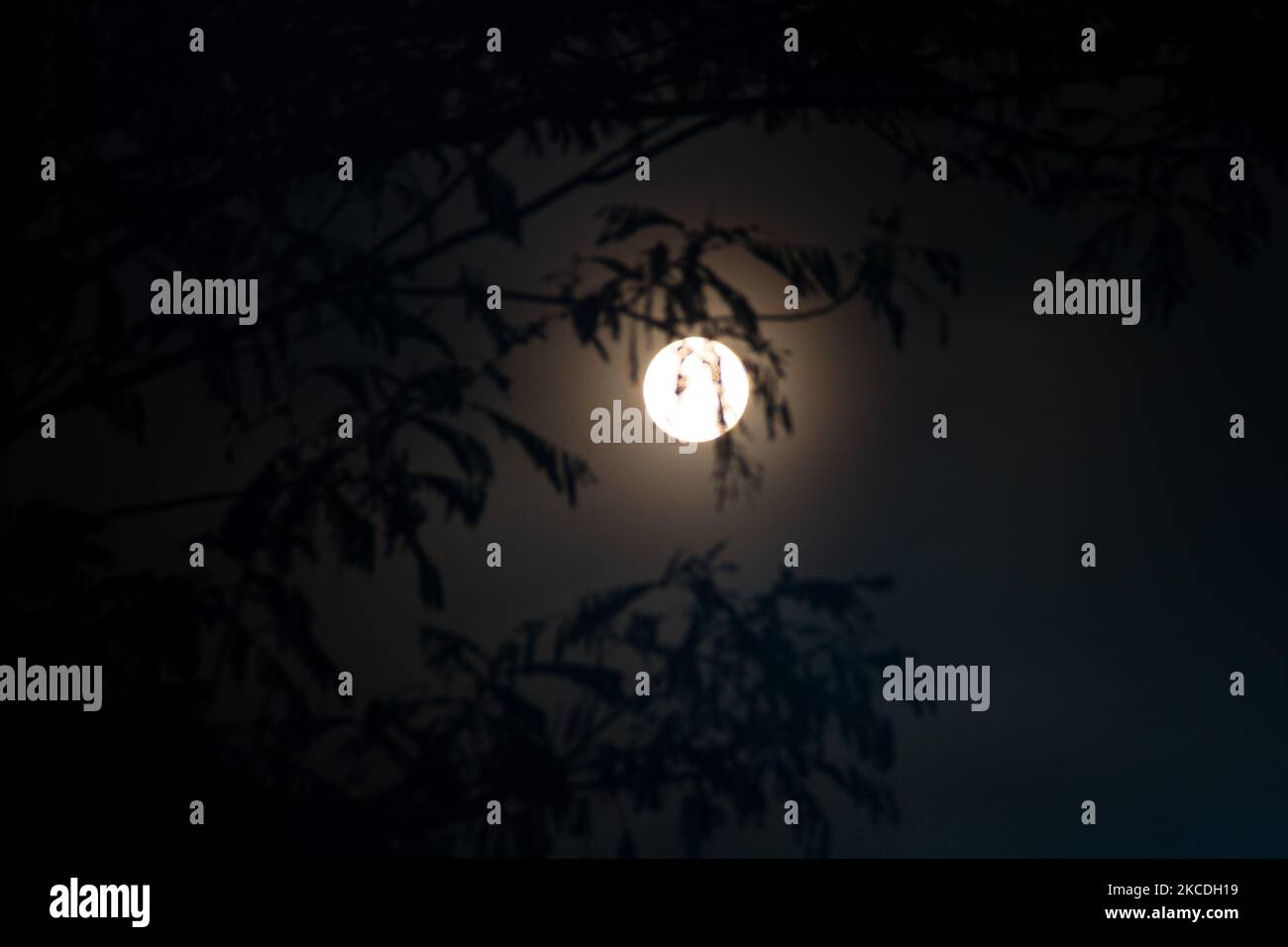 The full moon or Pink Super Moon is seen in the sky in Tanjungsari ...