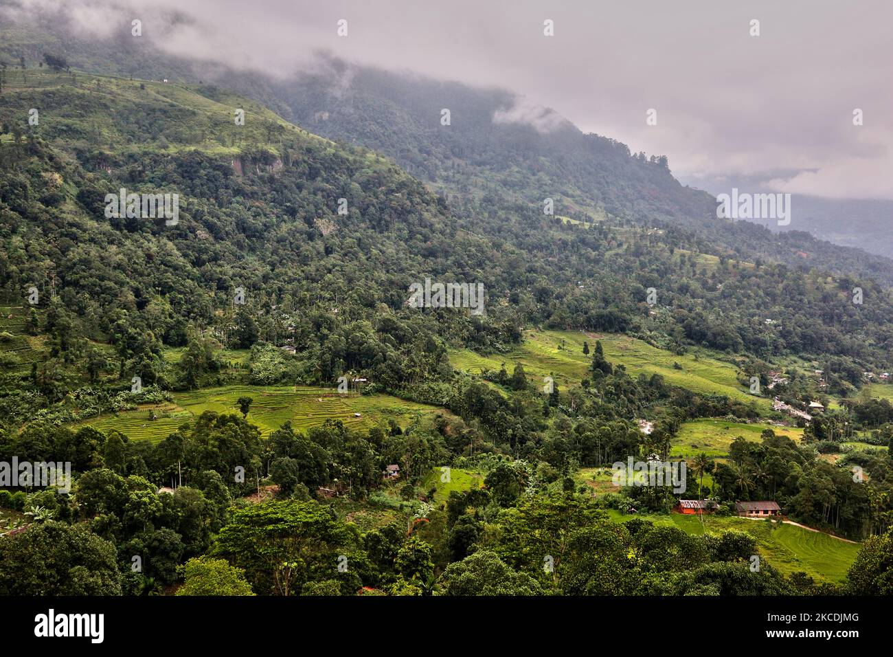 Farmland along the mountainside in Pussellawa, Sri Lanka. (Photo by ...