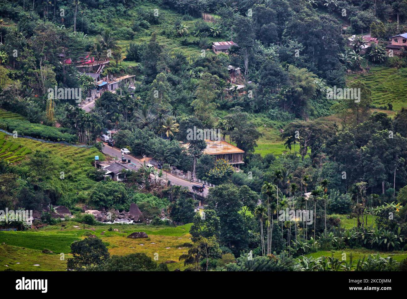 Farmland along the mountainside in Pussellawa, Sri Lanka. (Photo by ...