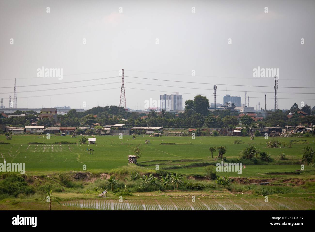 View of Land in Karawang to Purwakarta, West Java, Indonesia on 30 ...