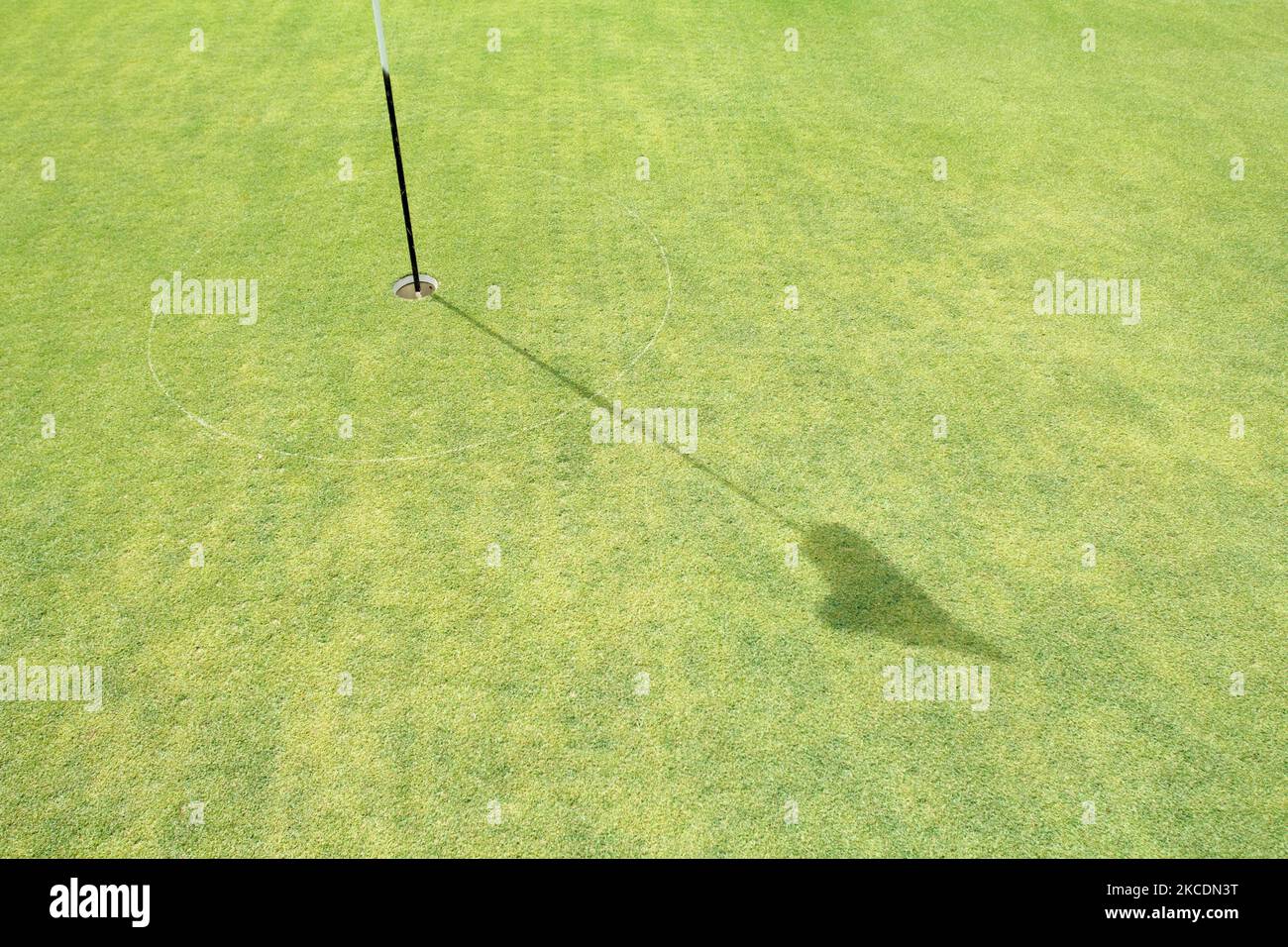 Turf core aeration on green golf Stock Photo - Alamy