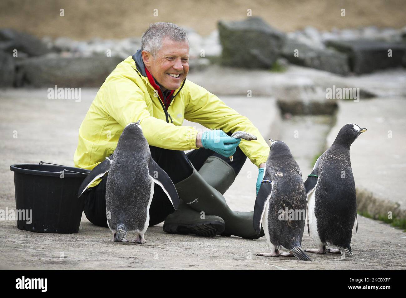 Scottish Liberal Democrat leader Willie Rennie feeds a group of ...