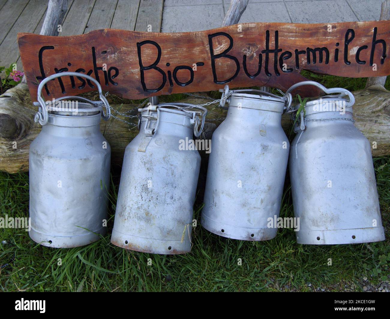 Four Milk containers and wooden sign "fresh organic buttermilk" on ...