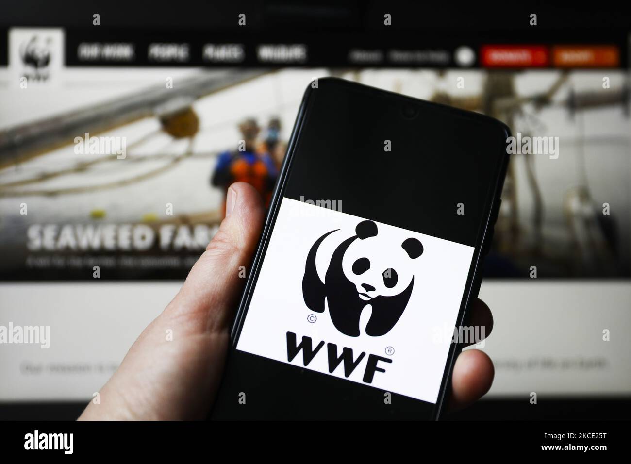 WWF logo is displayed on a mobile phone screen photographed for ...