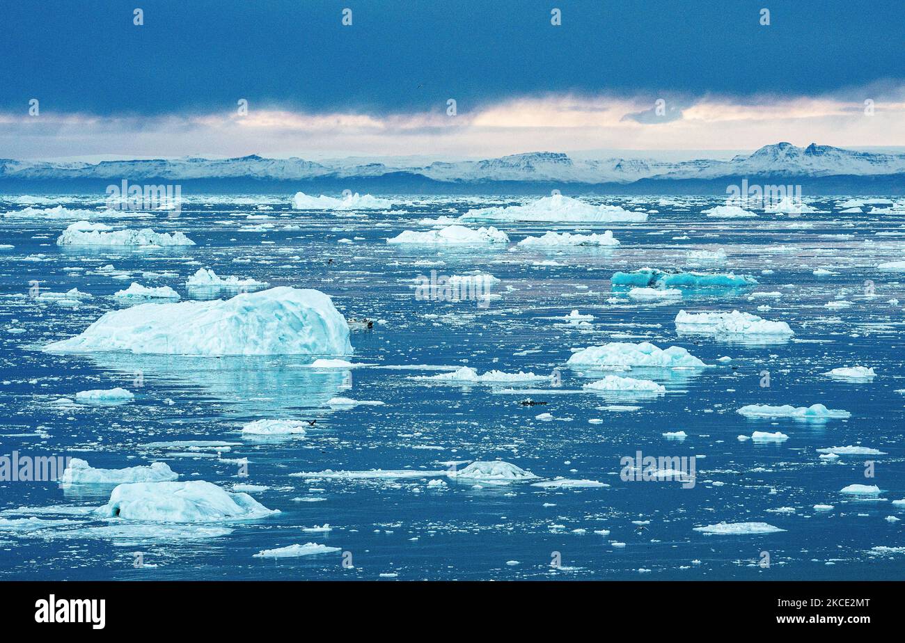 Icebergs near Ilulissat, Greenland. Climate change is having a profound ...