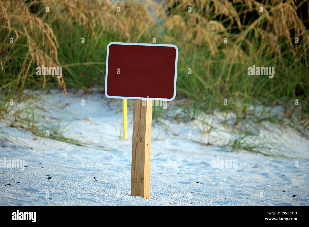 Empty signboard with copy space on seaside beach with small sand dunes ...