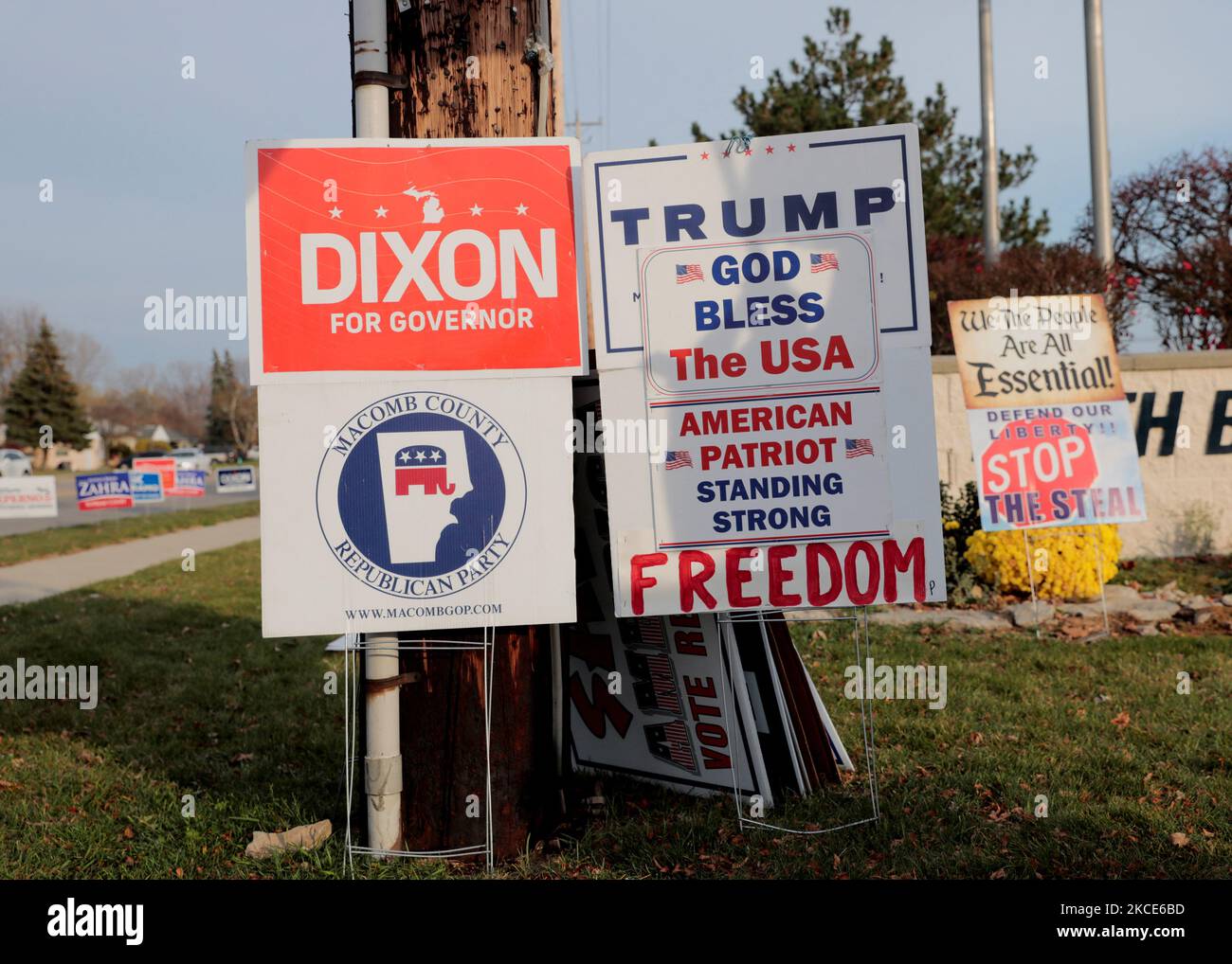 Tudor dixon hi-res stock photography and images - Alamy