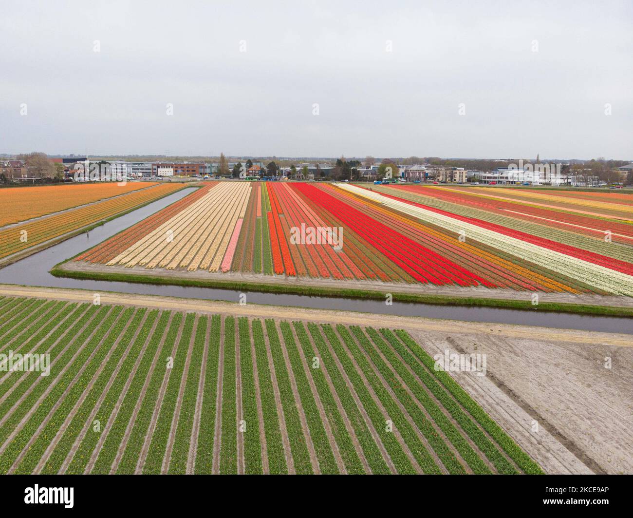 Keukenhof lisse aerial hi-res stock photography and images - Alamy