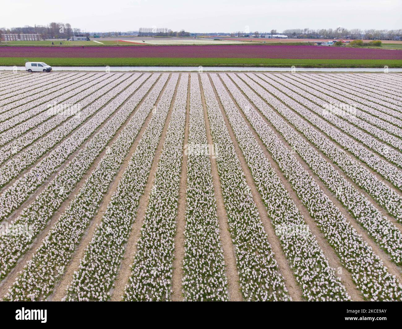 Keukenhof gardens aerial hi-res stock photography and images - Alamy