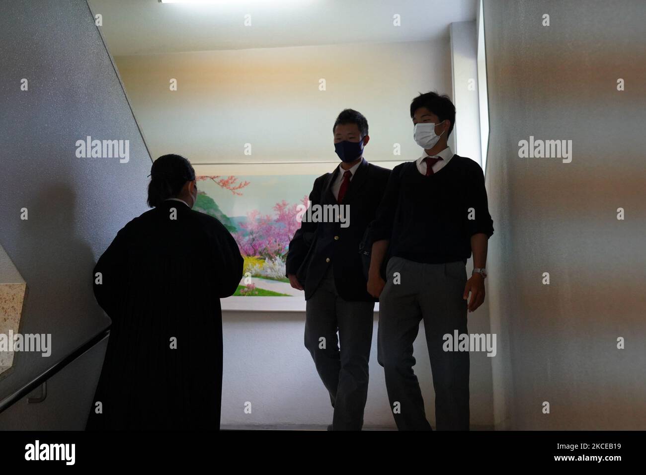 A painting of a spring Pyongyang scenery hang on a wall as two ...