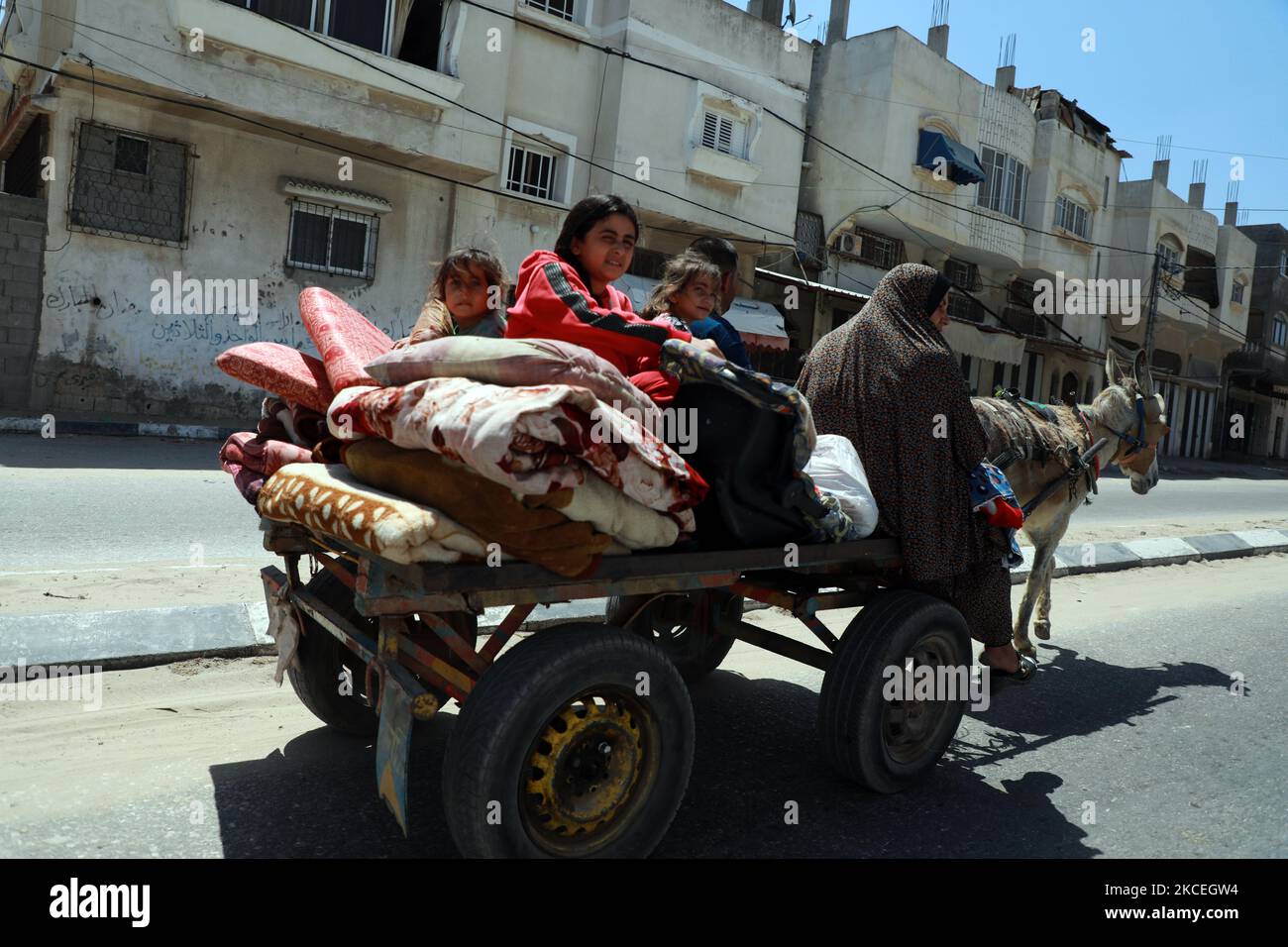 Donkey cart palestine hi-res stock photography and images - Alamy
