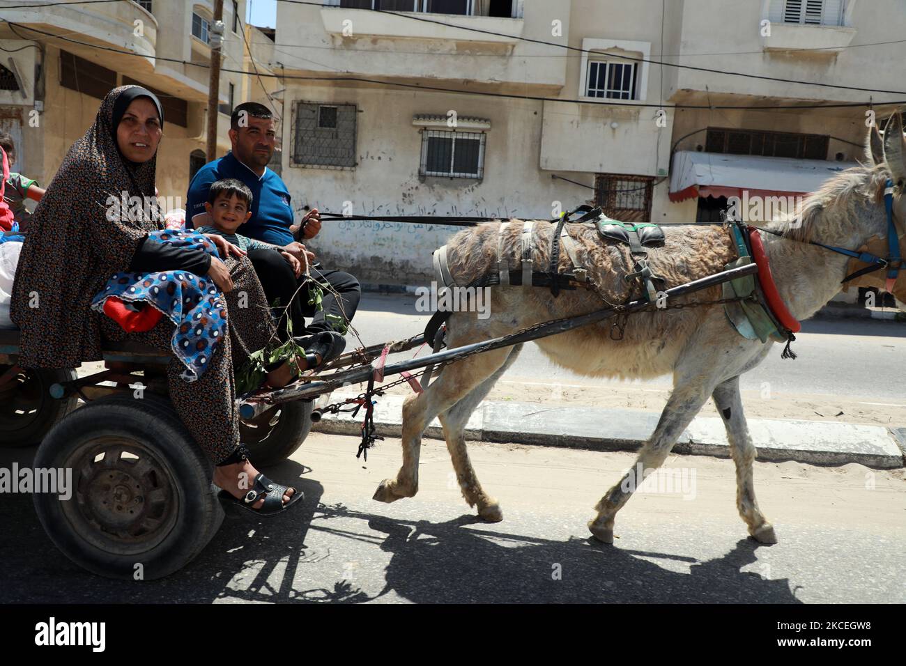 Donkey cart palestine hi-res stock photography and images - Alamy