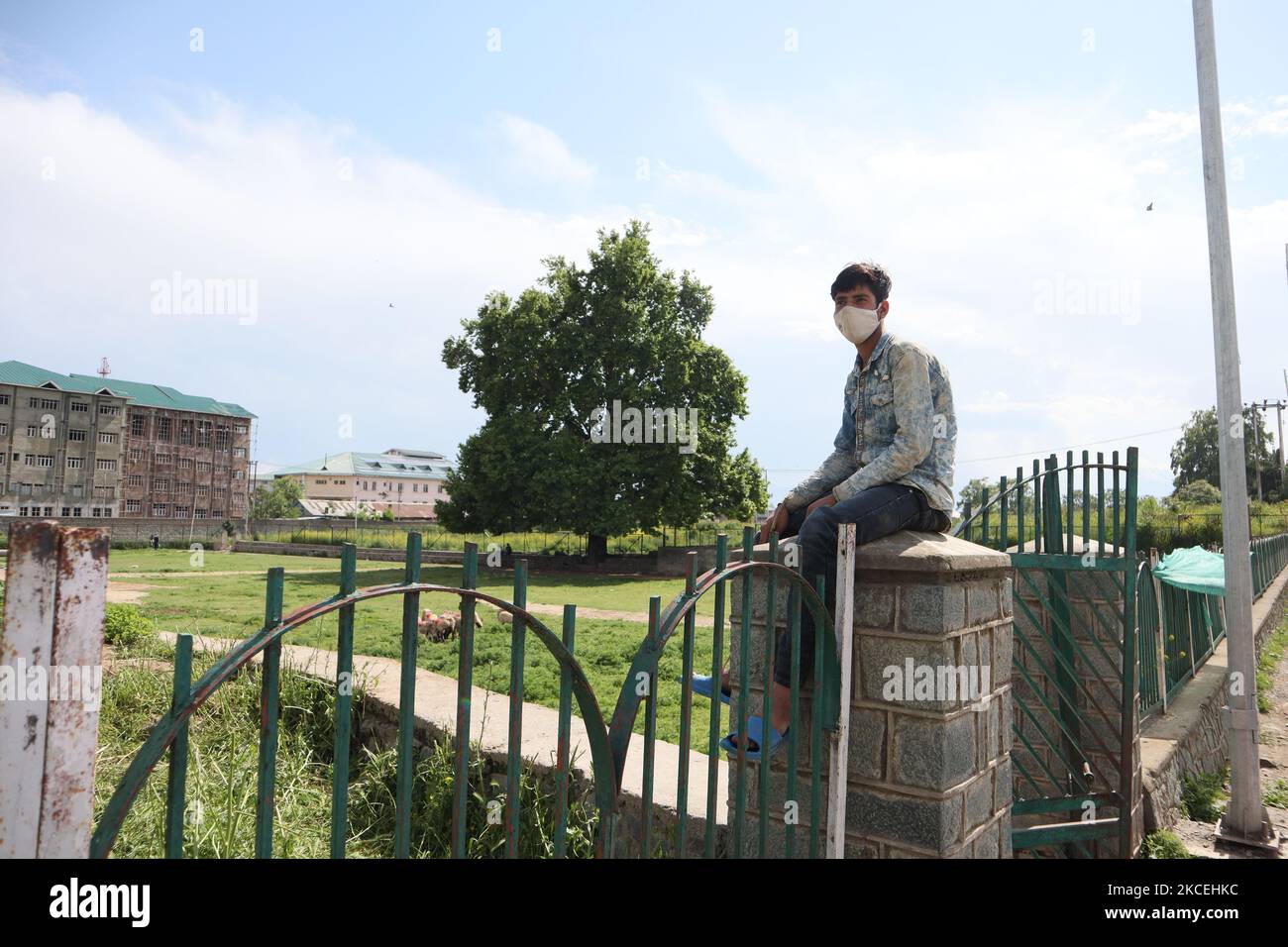 (Photo by Muzamil Mattoo/NurPhoto Stock Photo - Alamy