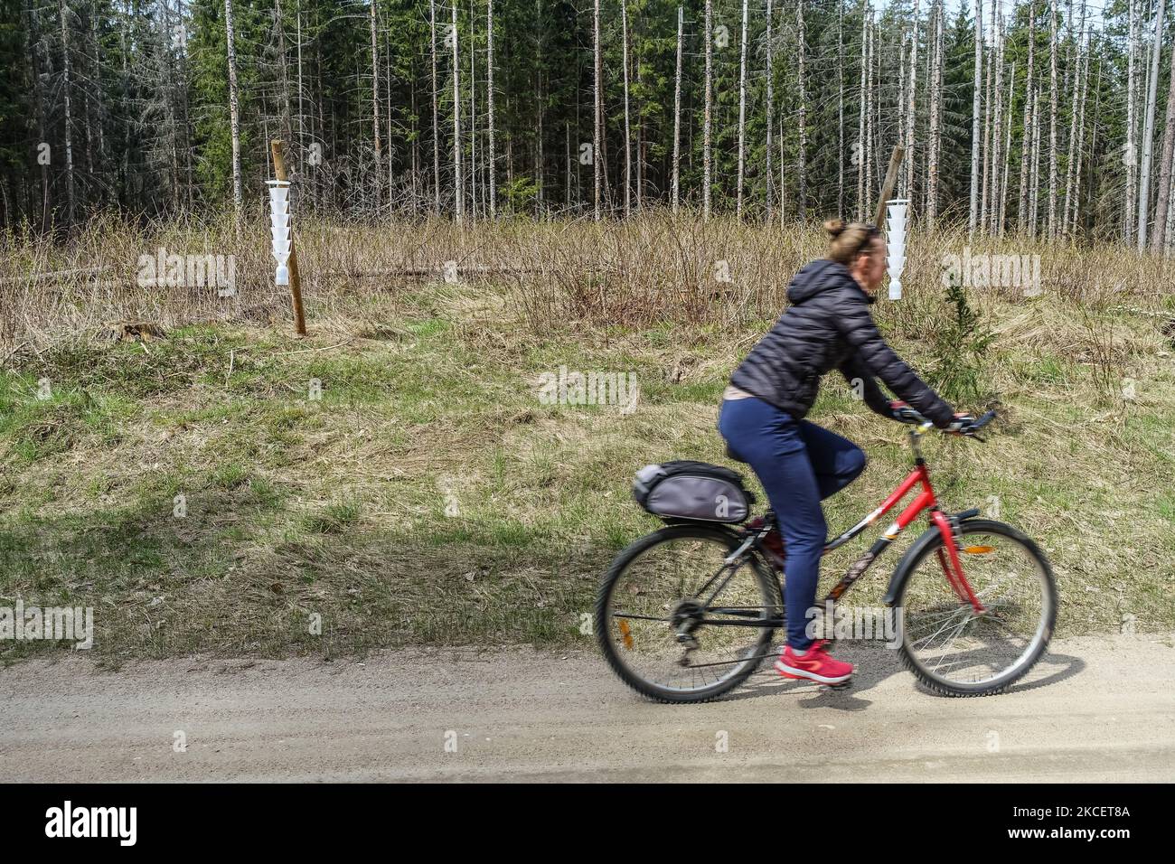 Woman on a bike cycling in front of the insect / bug traps is seen in ...