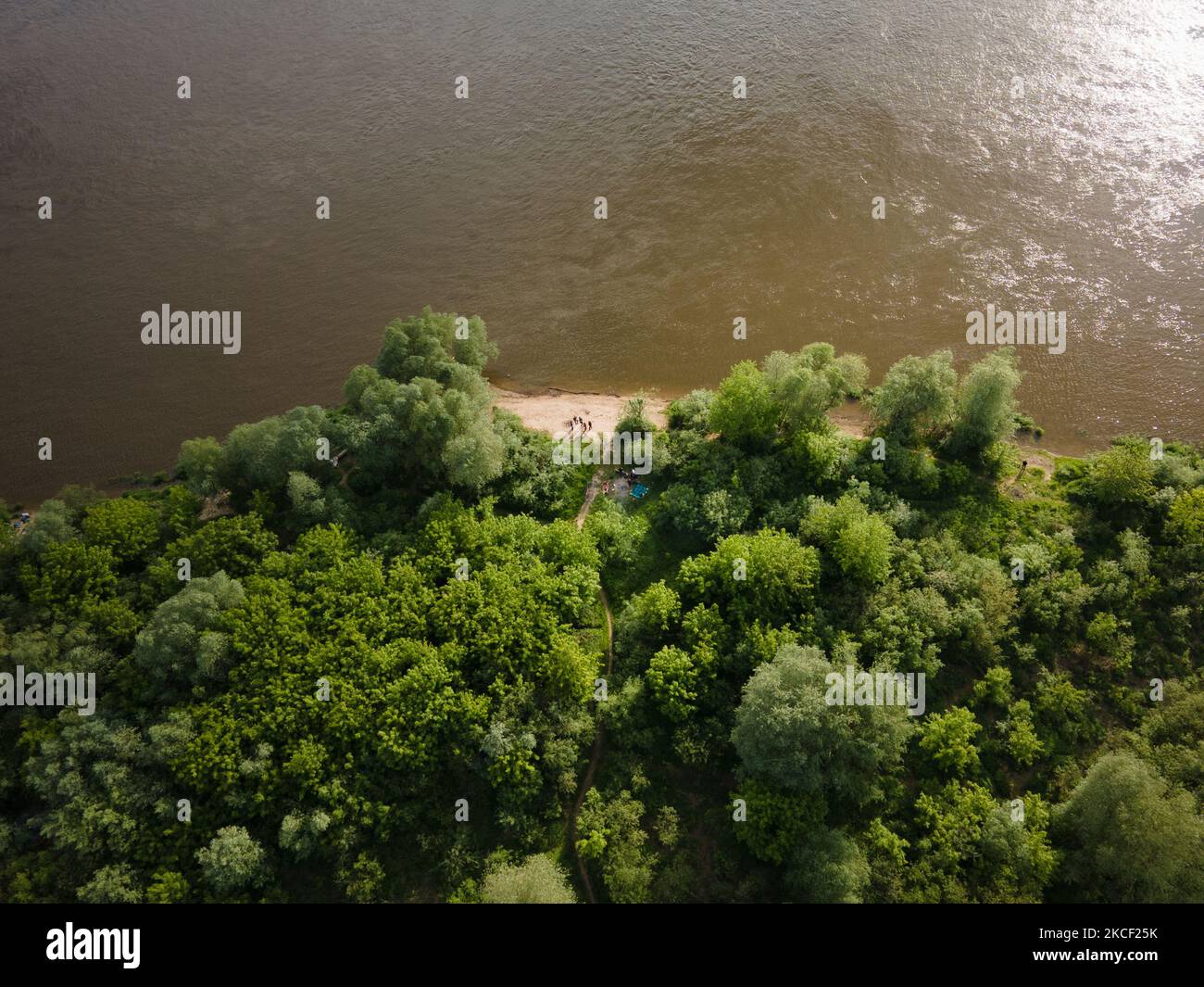 Directive species hi-res stock photography and images - Alamy