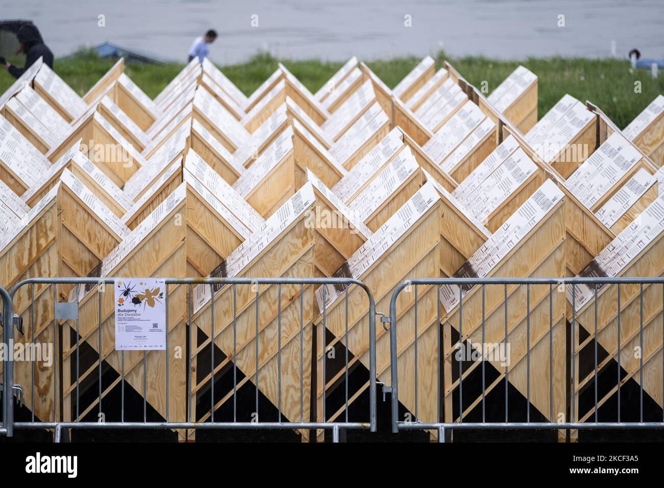 Breaking the guinness record in the construction of the largest insect ...