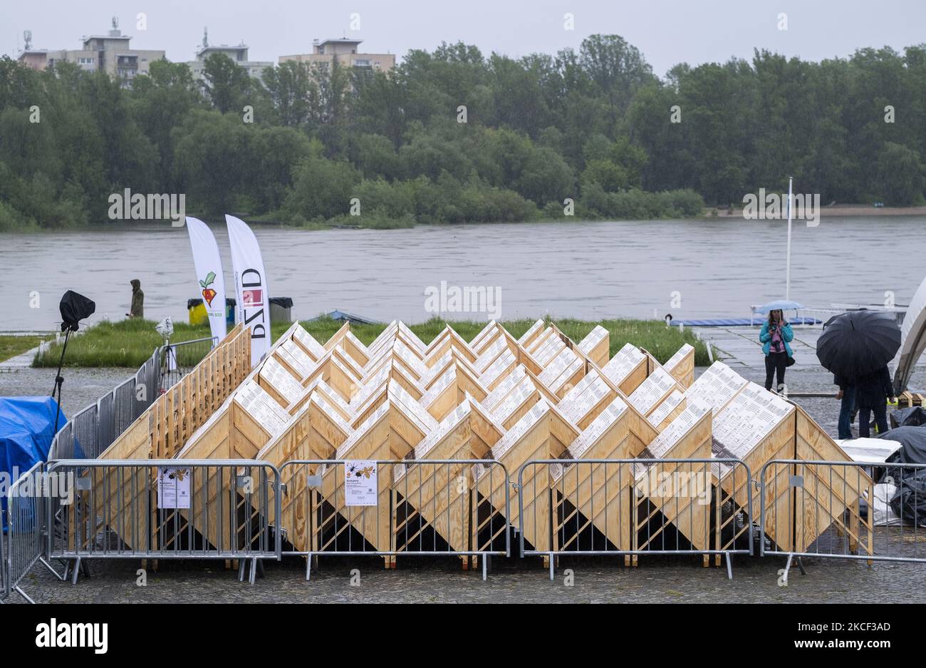 Breaking the guinness record in the construction of the largest insect ...