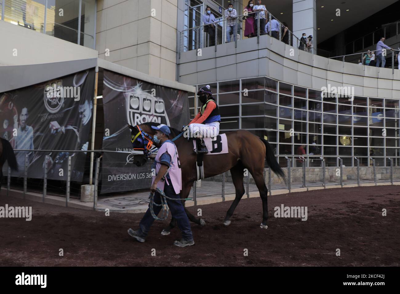 Gabriela Córdova, jockey, in the saddling area of the Hipódromo de Las ...