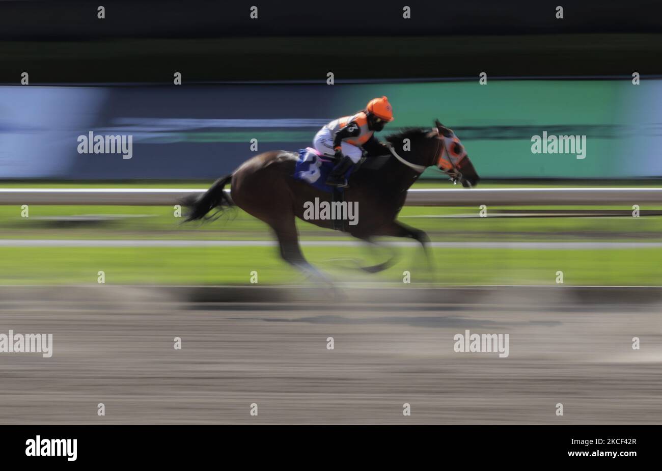 Brenda Silvina Hernández, jockey, rides a horse at the Hipódromo de Las ...