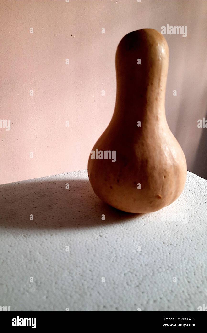 View of round, elongate, bottom heavy bottle gourd placed on floor with ...