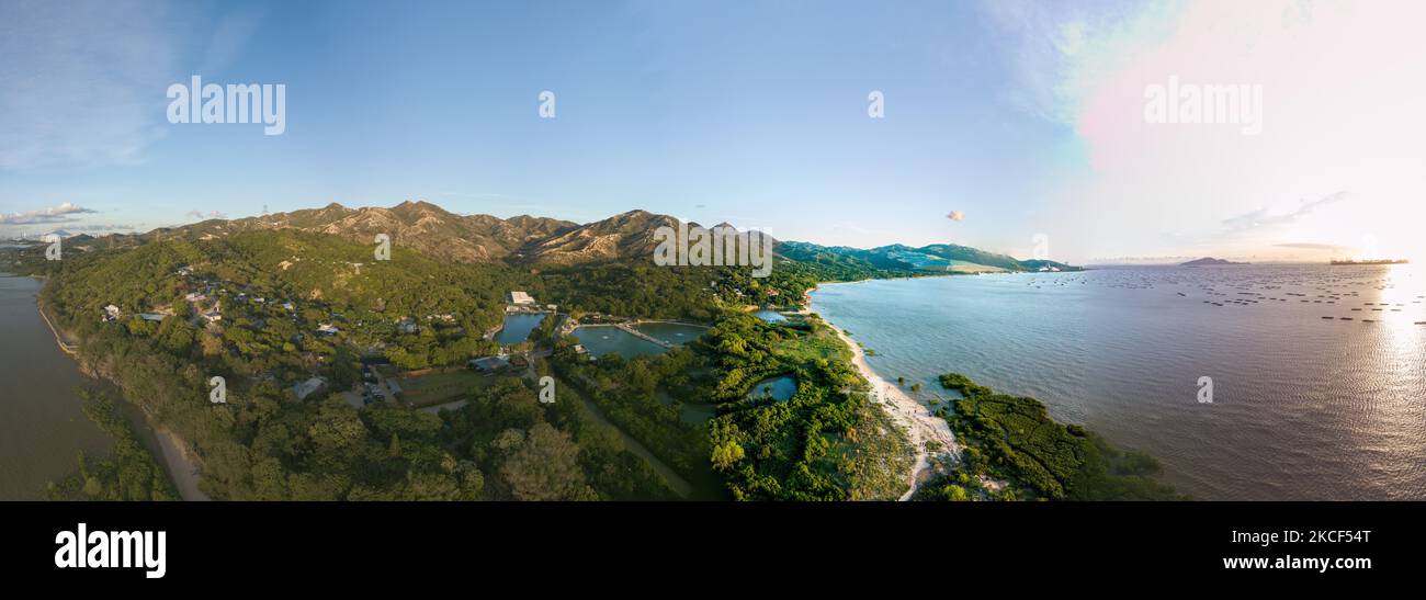 Fragile natural milieu hi-res stock photography and images - Alamy