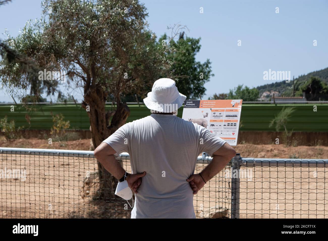 Tourists and locals went for a walk at the largest Attica Zoo Park in ...