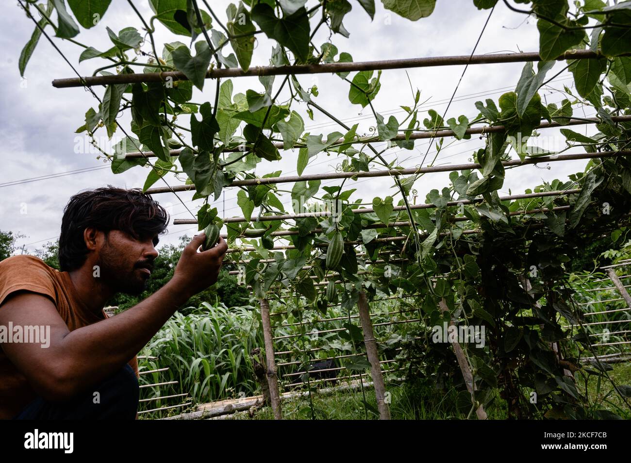 Tropical cyclone effects hi-res stock photography and images - Alamy