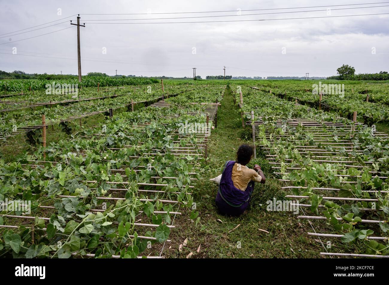 Tropical Cyclone 'Yaas' is about to hit with heavy rains the West ...