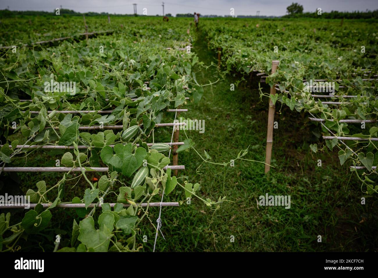 India tropical cyclone hi-res stock photography and images - Alamy