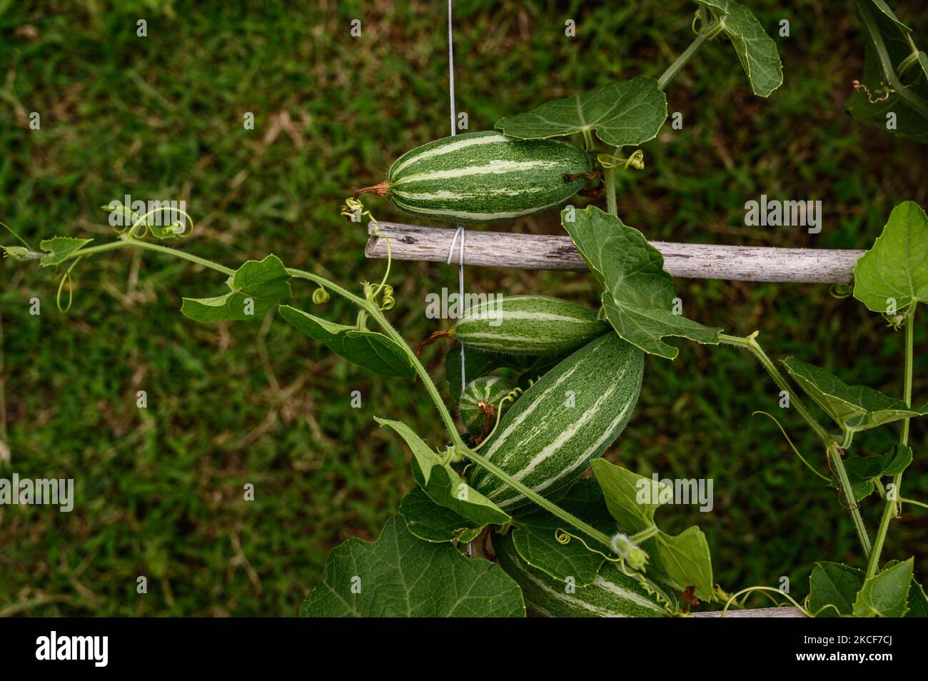 Tropical Cyclone 'Yaas' is about to hit with heavy rains the West ...