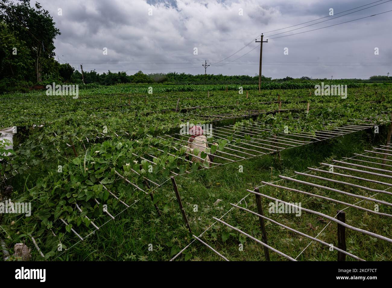 Meteorological deprtymeny hi-res stock photography and images - Alamy