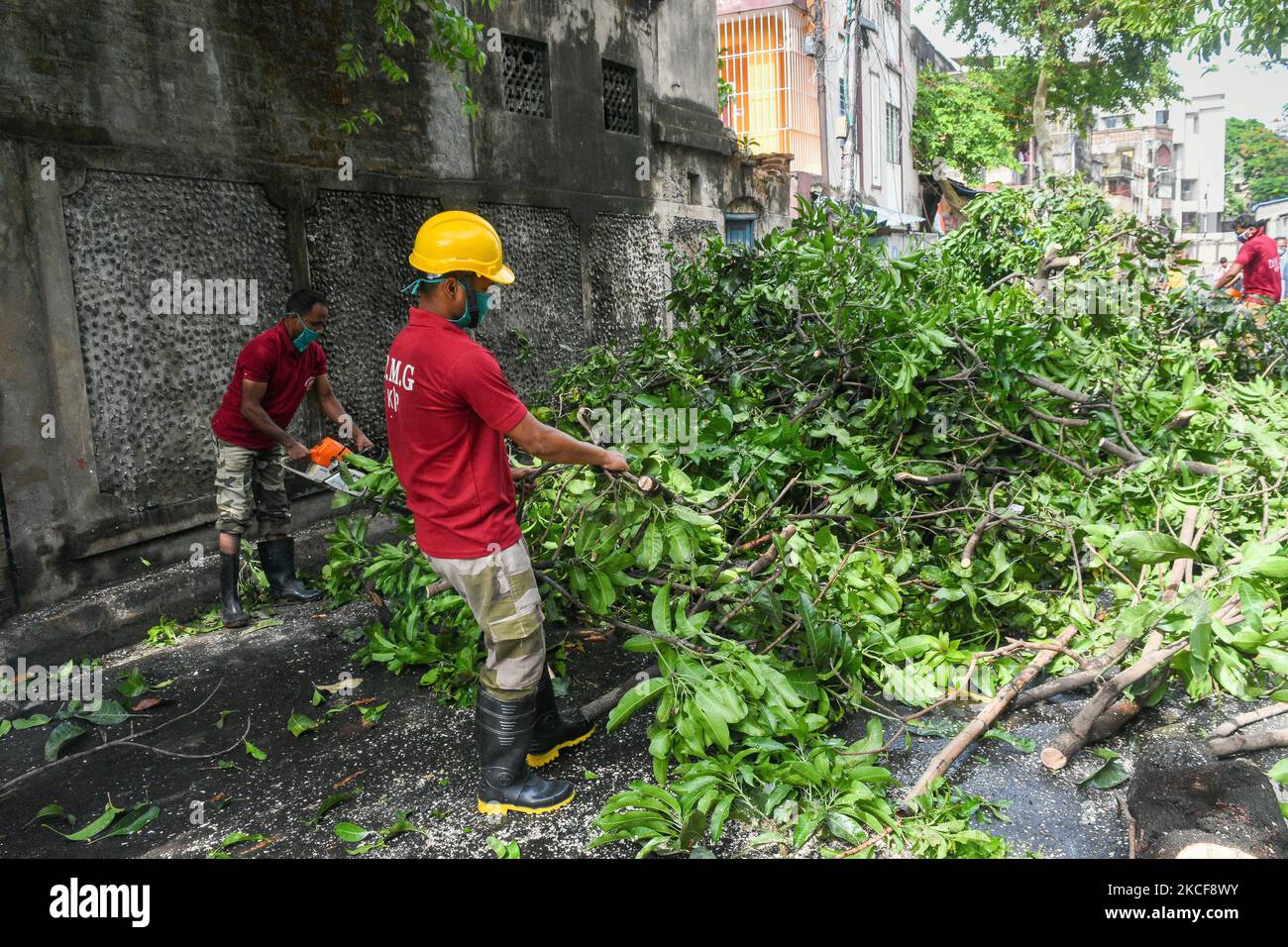 A disaster management worker clearing out a tree that has fell due to ...